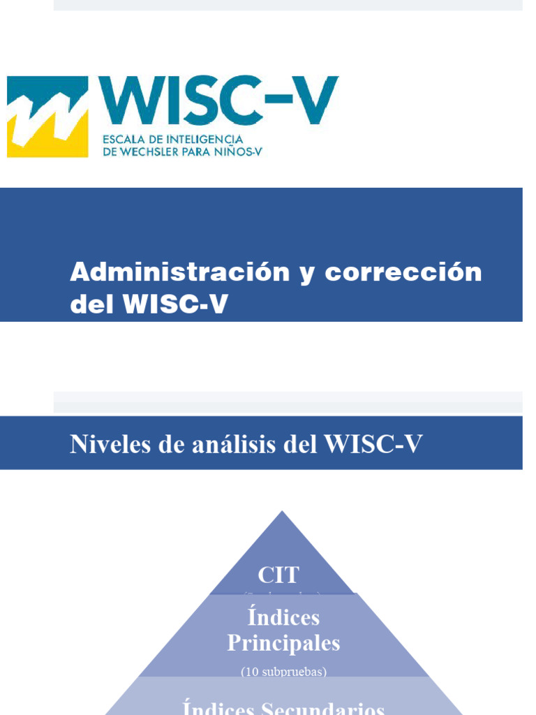 Wisc V Parte Iv - Puntajes (Actualizada) | PDF | Memoria | Memoria de trabajo