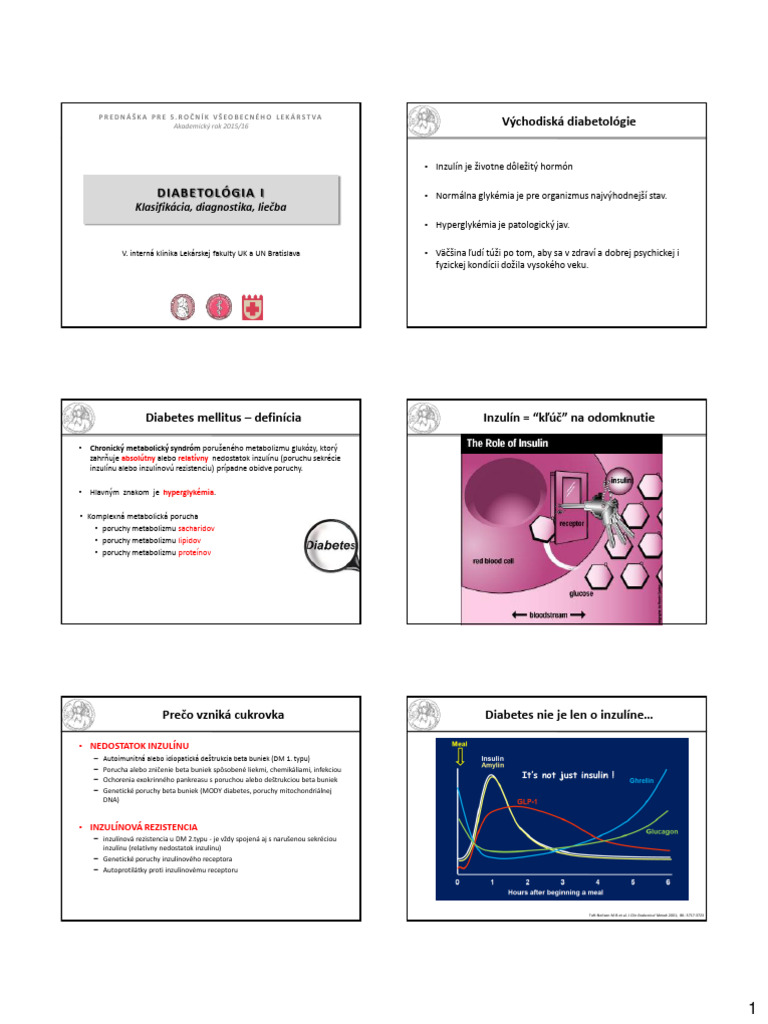 05 Prednaska Diabetologia | PDF