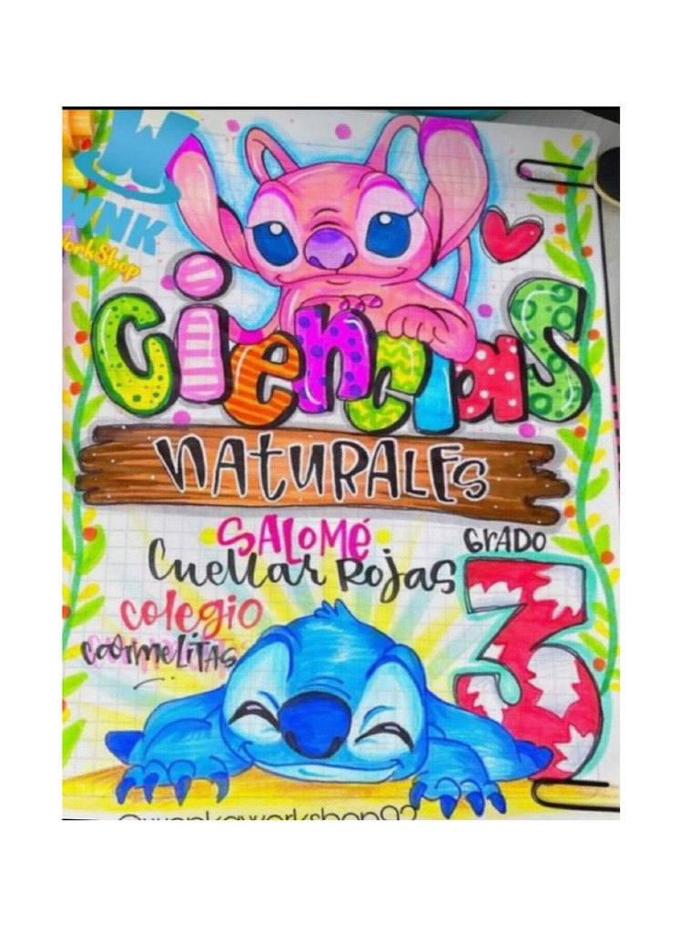 Documento (4) RRR | PDF