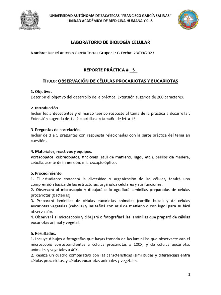 Estructura de Reporte BioCel Práctica 3 | PDF | Biología Celular) | Nucleo celular