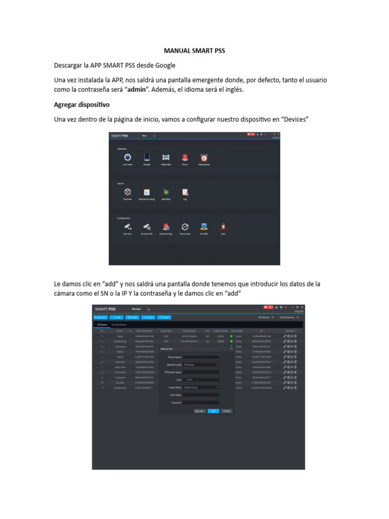 Manual Smart PSS | PDF | Computadoras