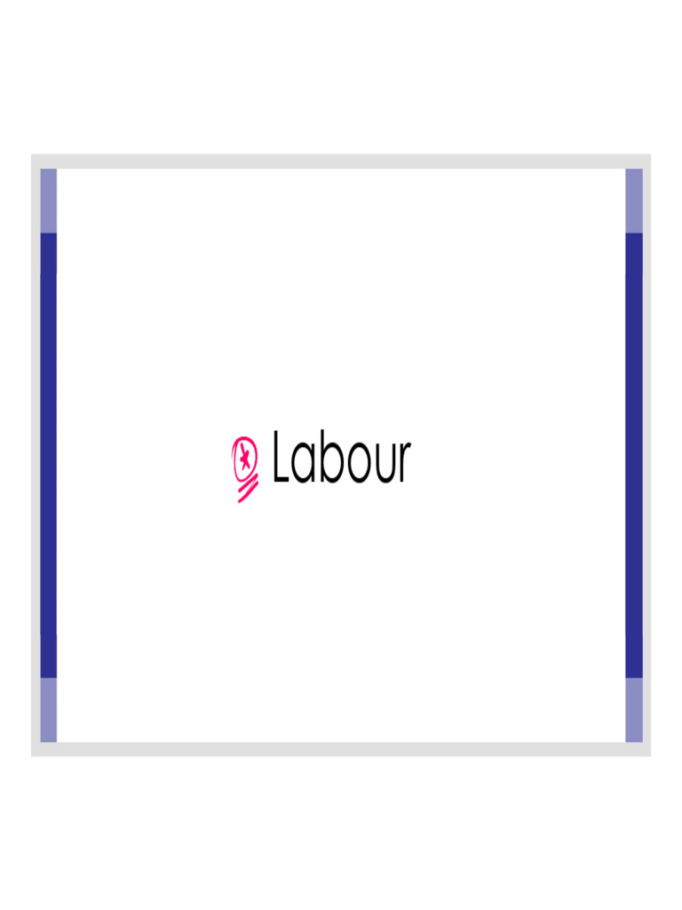 Labour - Formatted | PDF | Piece Work | Employment