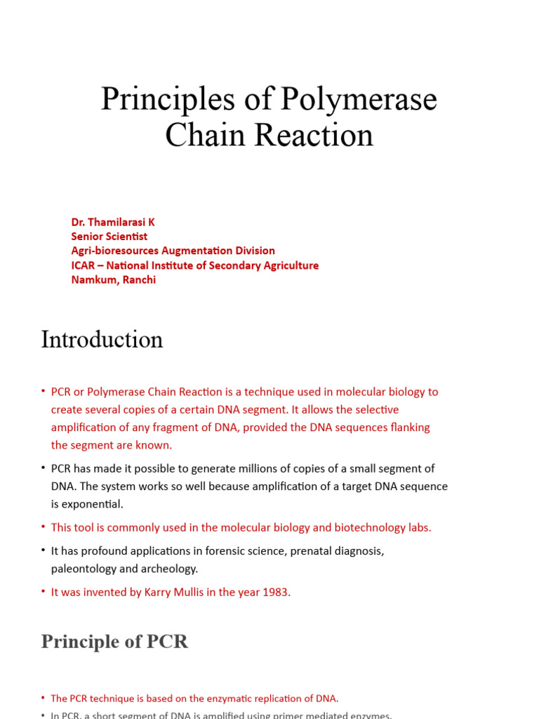 Lecture 5 PCR | PDF | Polymerase Chain Reaction | Primer (Molecular Biology)