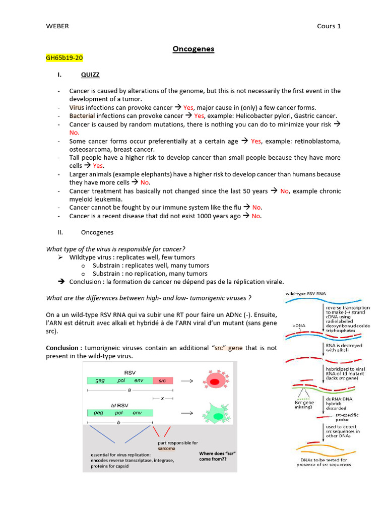 1 - Oncogenes | PDF | Oncogene | Retrovirus