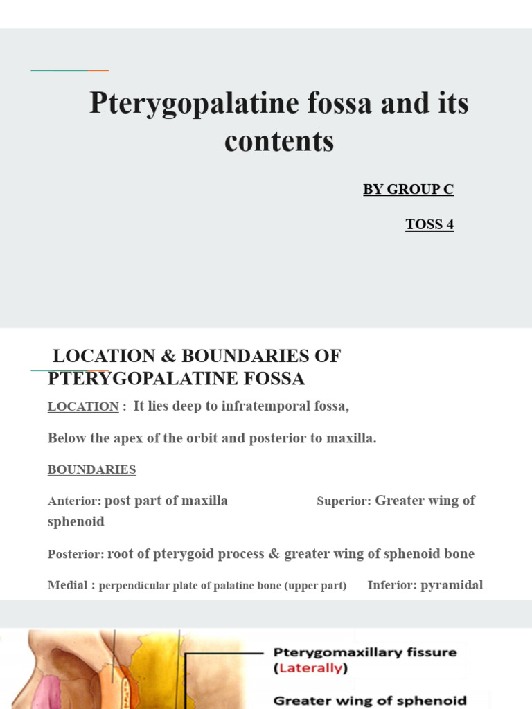 Pterygopalatine Fossa and Its Contents | PDF | Human Nose ...