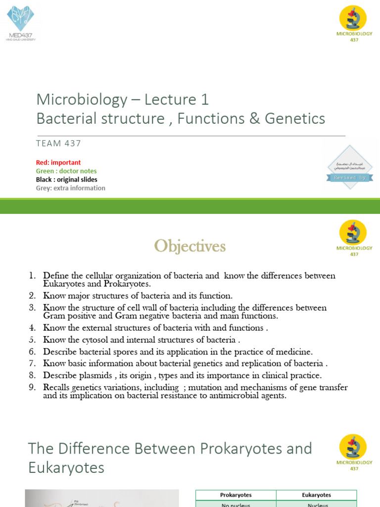 1 - Bacterial Structure and Genetics UPDATED | PDF | Bacteria | Cell (Biology)