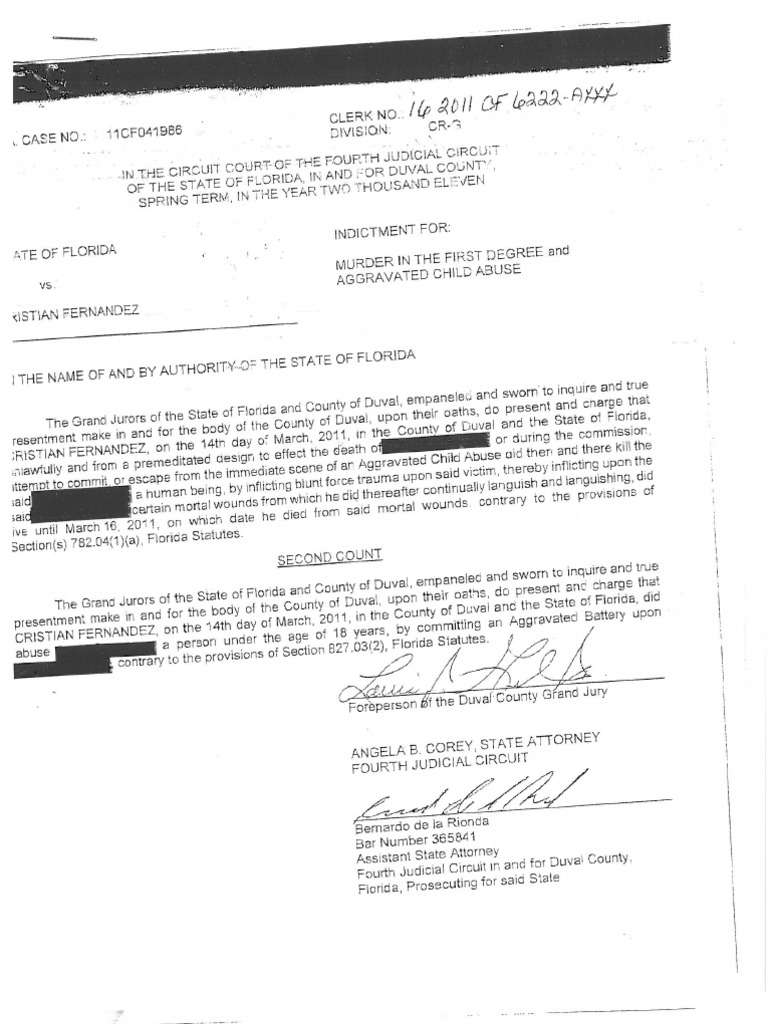 Cristian Fernandez case: Murder Indictment