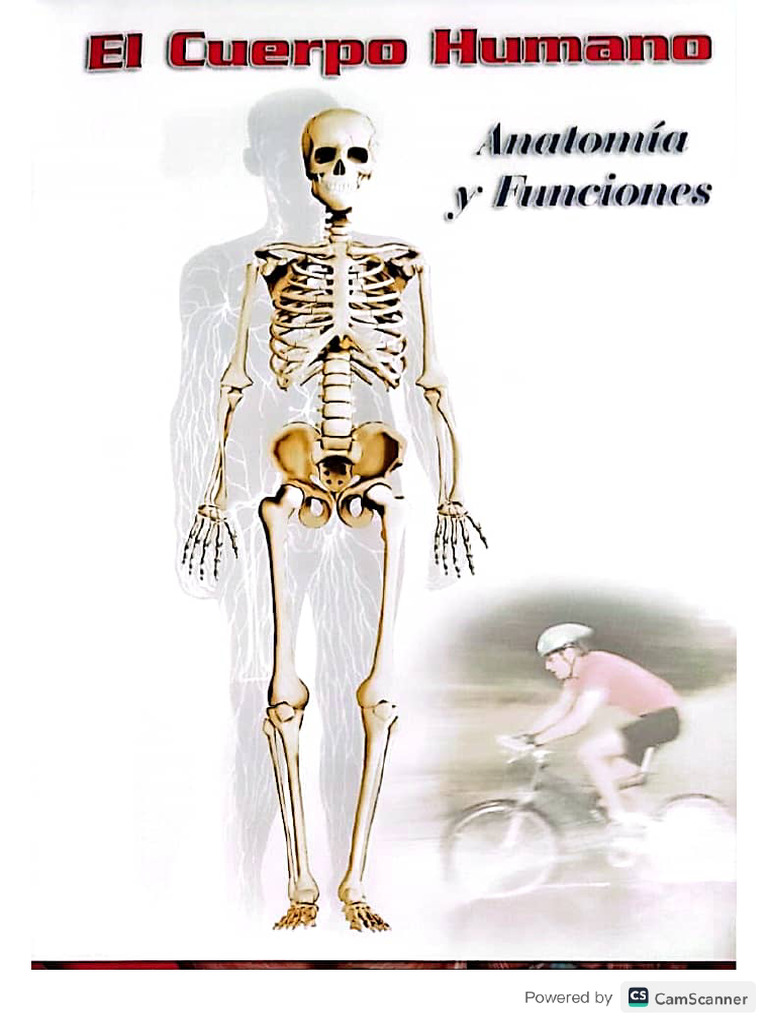 Atlas Visual Del Cuerpo Humano | PDF