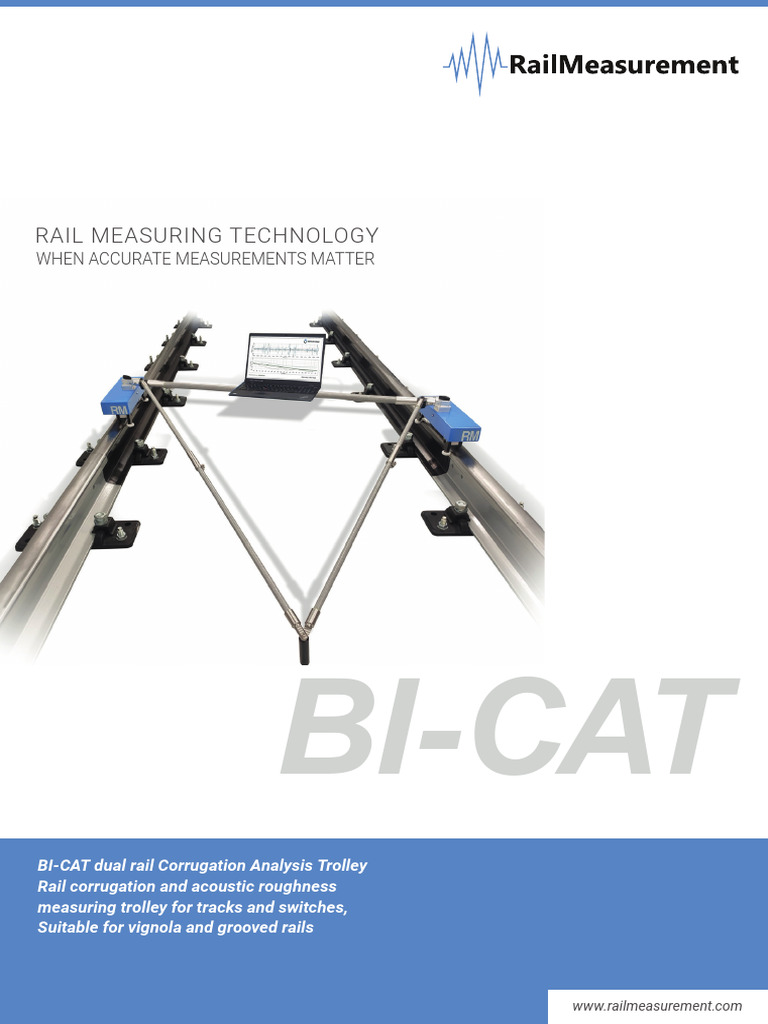 BI CAT Product Data Sheet 2023 04 | PDF | Accuracy And Precision ...