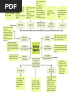 Quimo e Quilo | PDF | Digestão | Estômago