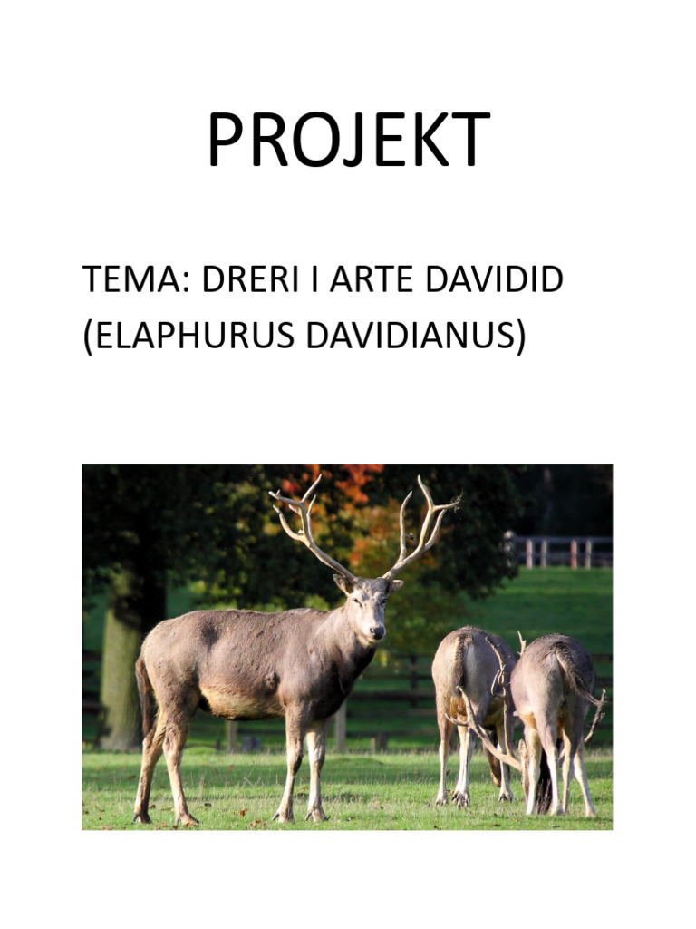 Projekt Biologjie KL - XI | PDF