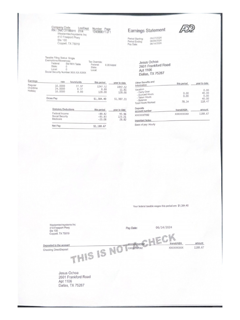 Earnings Statement | PDF