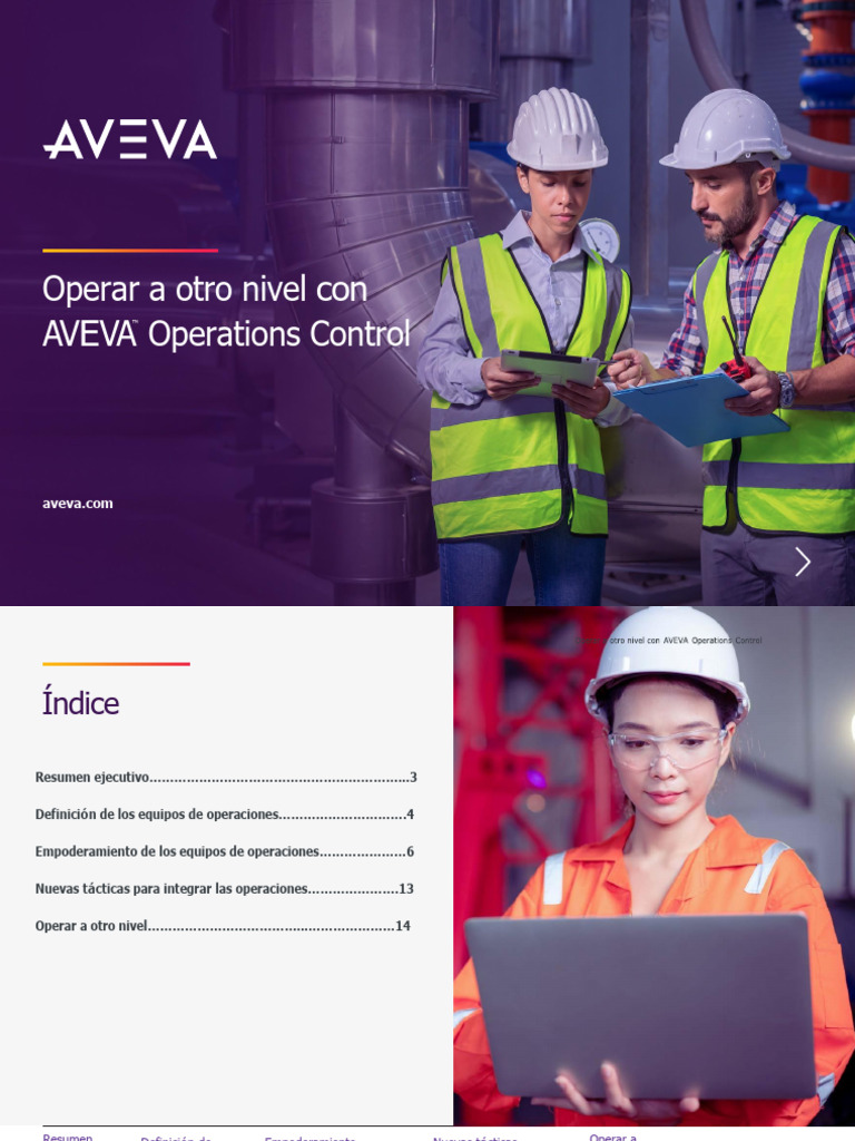 Info Aveva | PDF | Software | Empoderamiento
