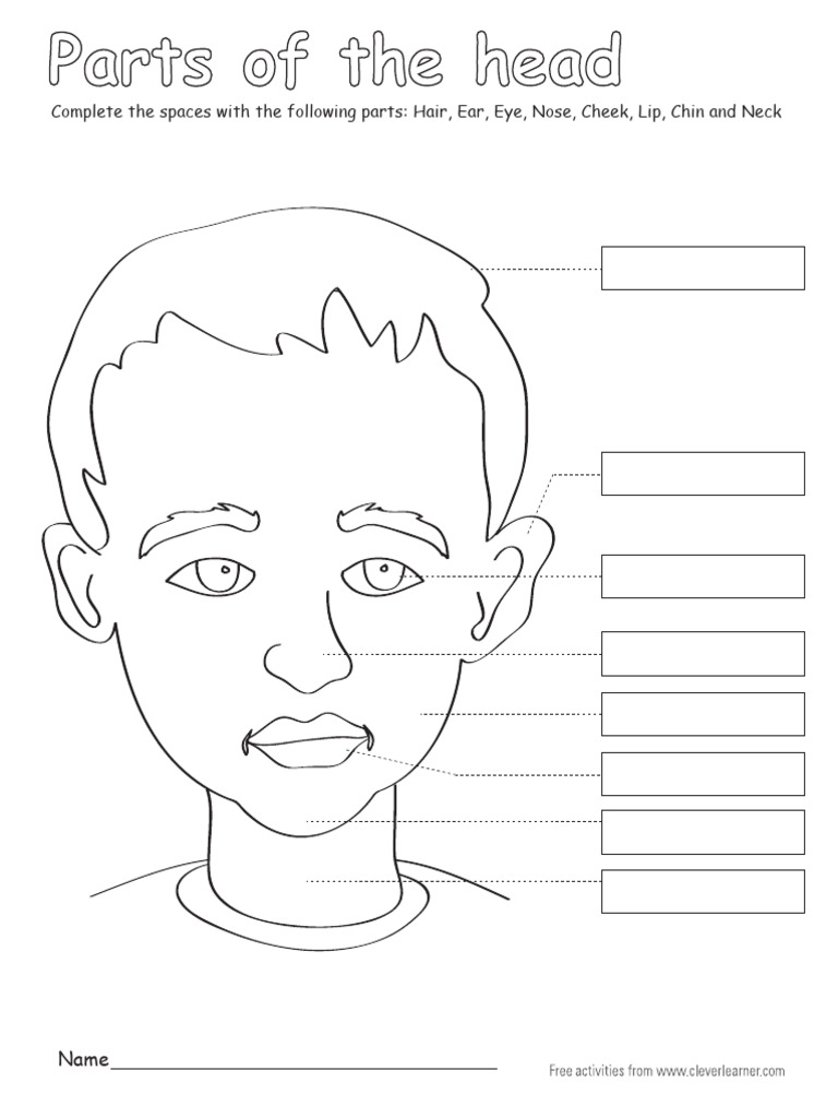 Parts of the Head: Fill in the Blanks | PDF