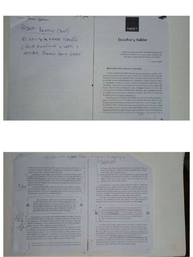 PUJATO El ABC de La Alfabetización ¿Cómo Enseñamos A Leer y Escribir¿ | PDF