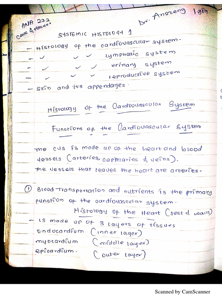 Histology of CVS | PDF