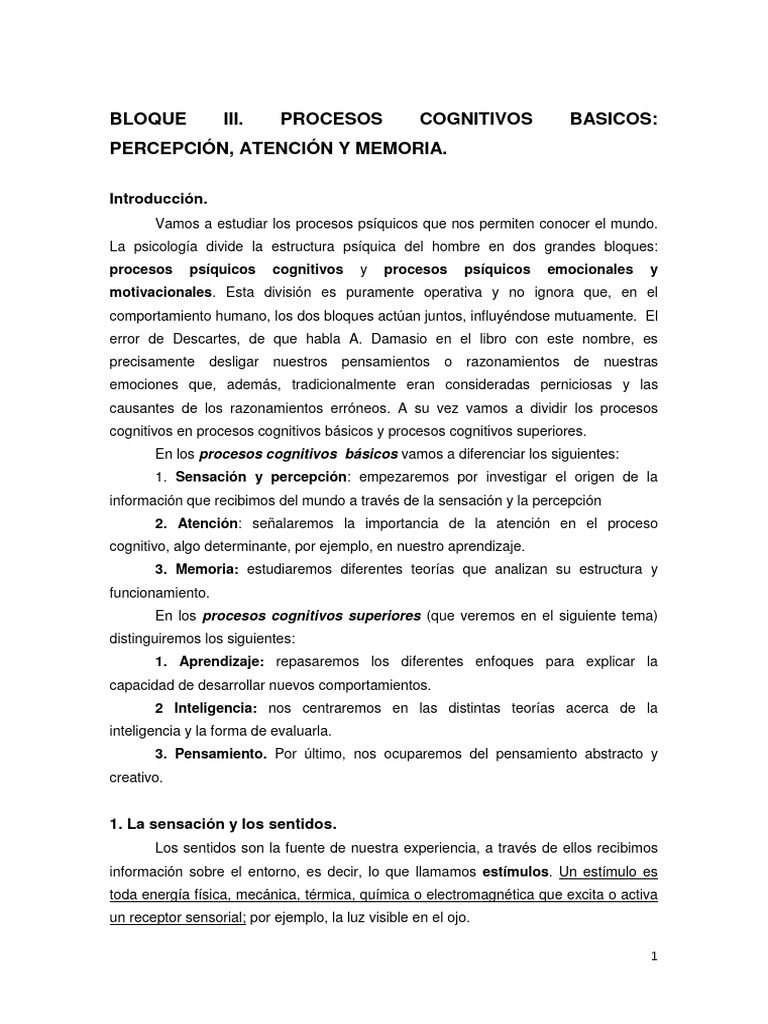 Los Procesos Cognitivos Basicos | PDF | Memoria | Percepción