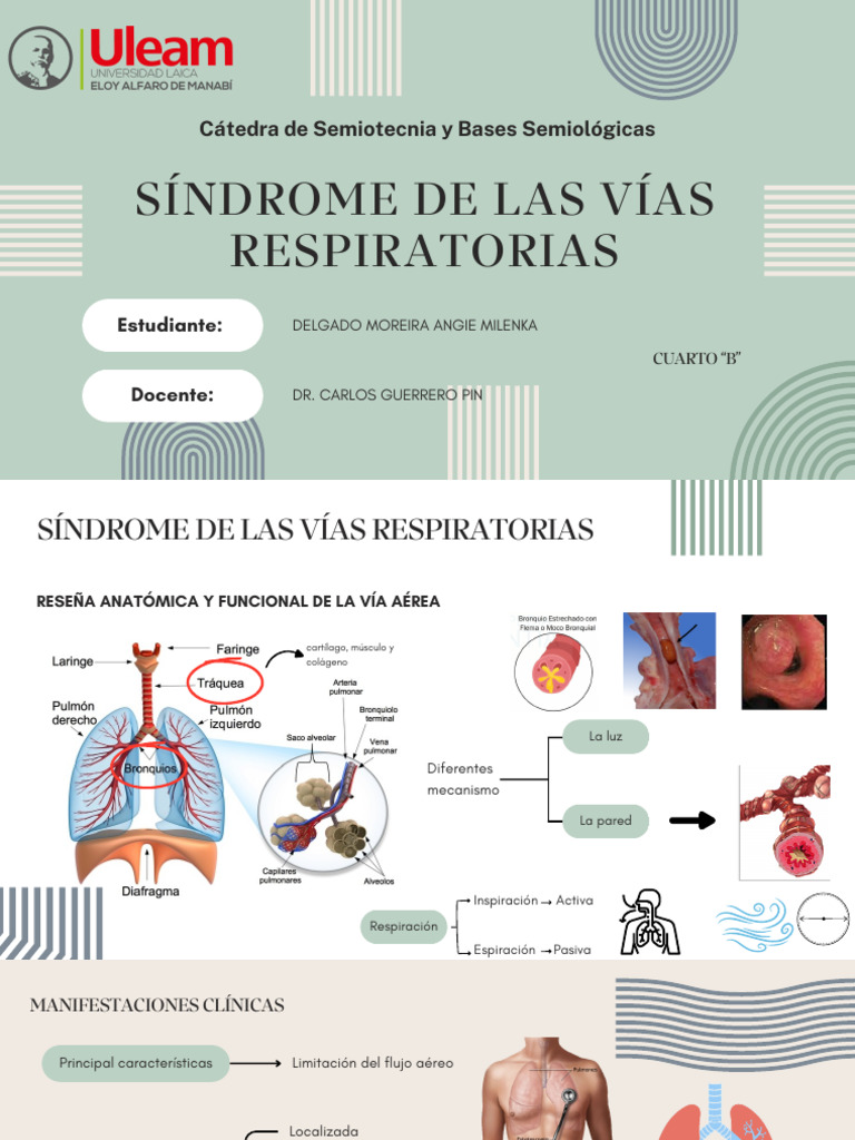 Expo Semio | PDF | Tos | Asma