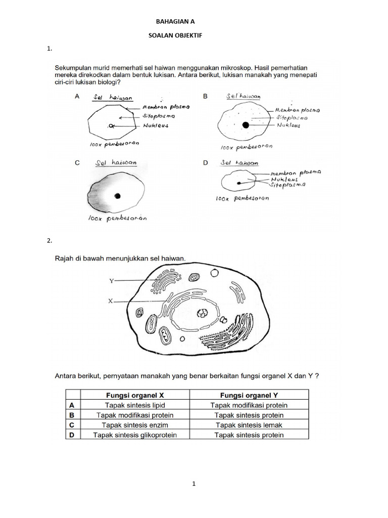 Pat Bio f4 | PDF