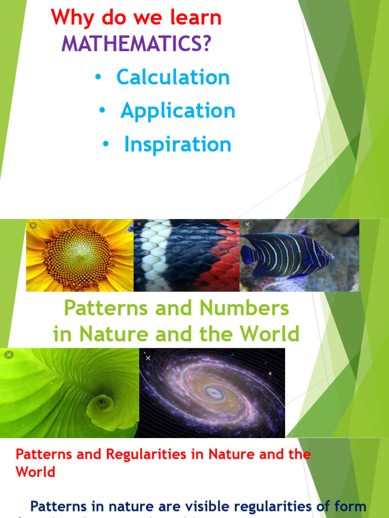 Patterns and Numbers in Nature and The World CH 1 Lecture1 | PDF ...