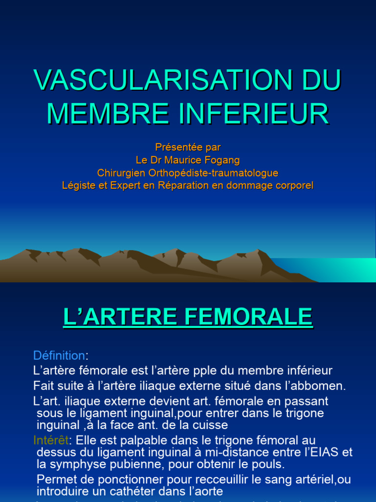Vascularisation Du Membre Inferieur | PDF | Main | Jambe humaine