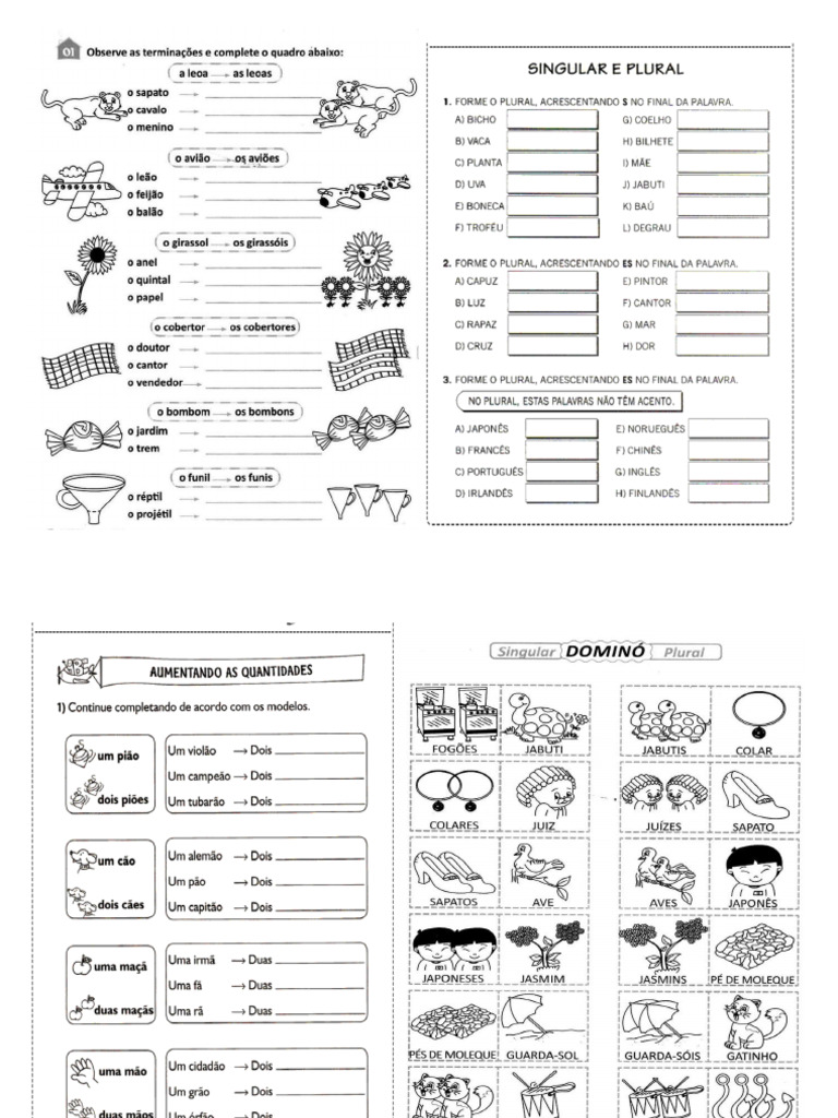 Singular e Plural | PDF