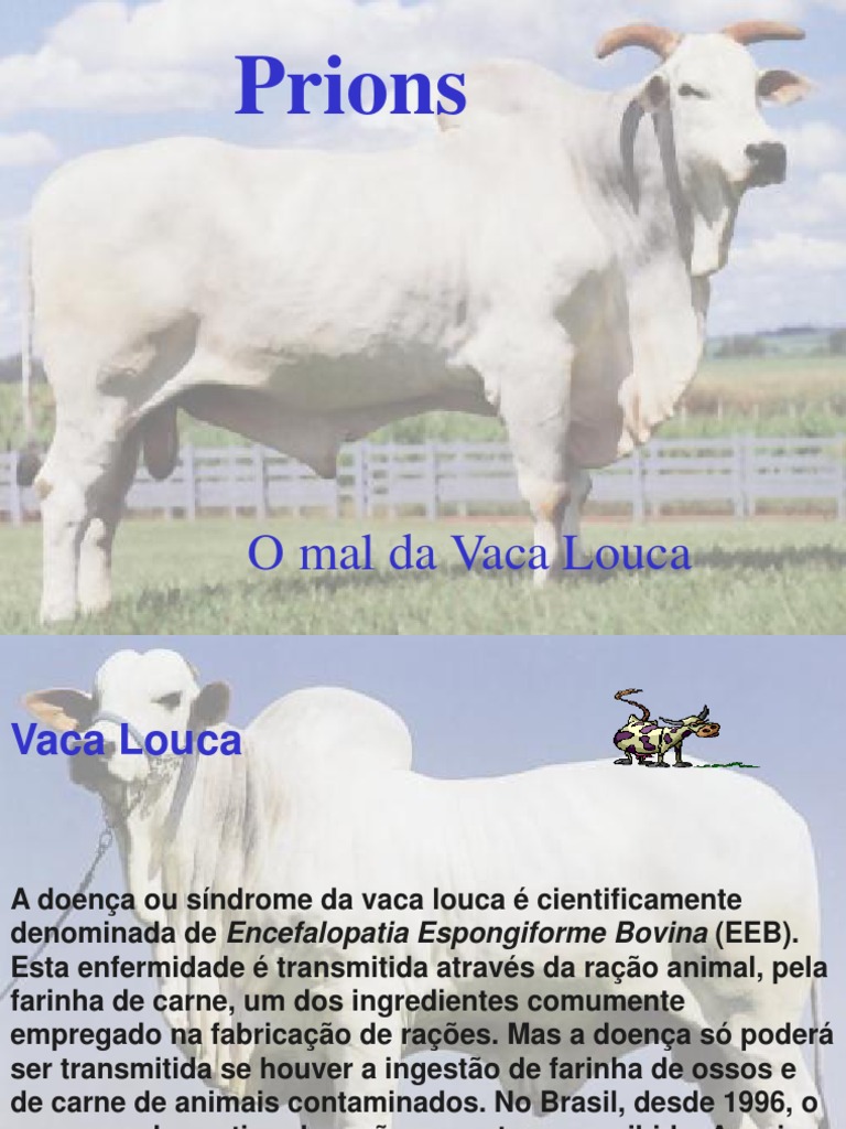 A Doença da Vaca Louca: Sintomas, Causas e Transmissão da Encefalopatia ...