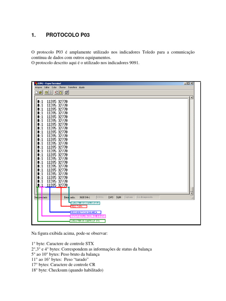 Exemplo Protocolo P03 | PDF | Byte | Mordeu