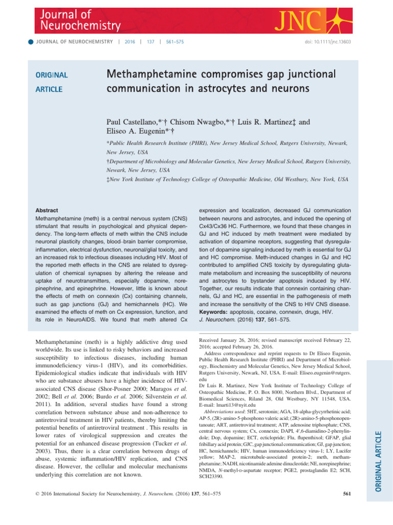 Castellano Et Al-2016-Journal of Neurochemistry | PDF ...