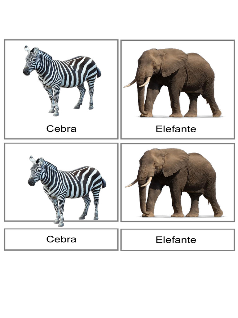 Educación. Tarjetas de Animales | PDF