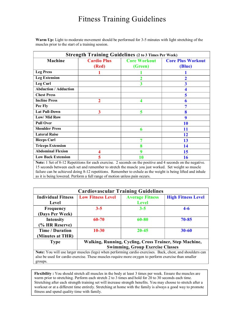 Fitness Training Guidelines Handout | PDF