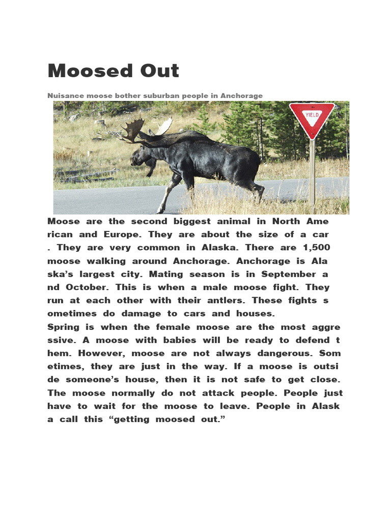 Moosed Out - Antônio 05102023 | PDF | Moose | Fauna
