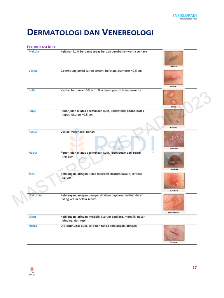 Dermatologi Venereologi 2023 Pdf