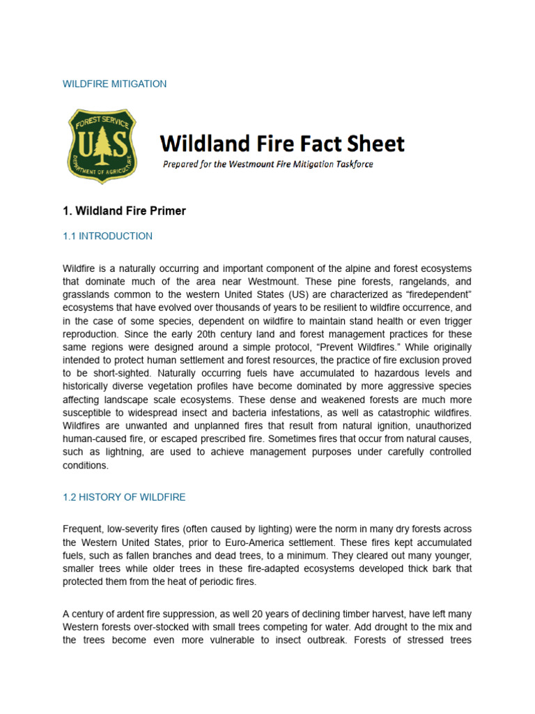 Wildfire Simulation - Fire Facts (Skim) | PDF | Wildfire | Fires