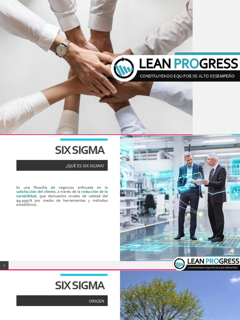 Módulo 1 | PDF | Six Sigma
