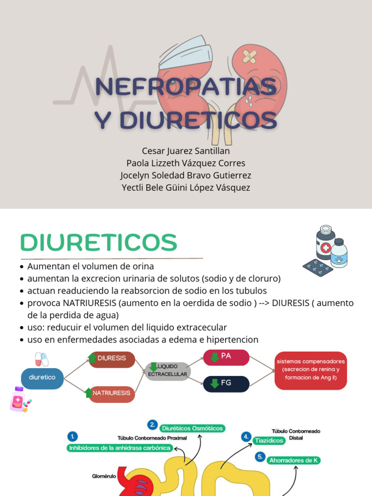 Diuréticos y Nefropatías: Guía Completa | PDF | Riñón | Sodio