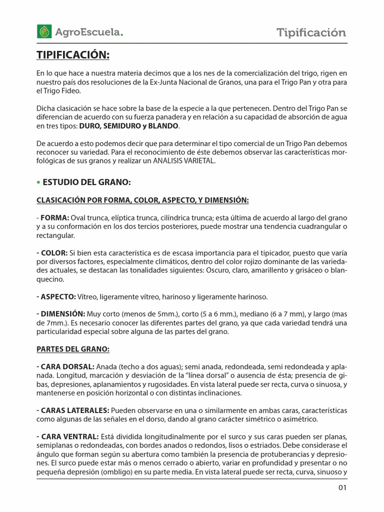Tipificación 004 Trigo Pan | PDF | Panes | Trigo