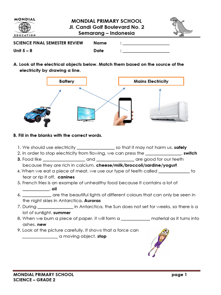 AK - SCIENCE Final Semester Review | PDF | Home & Garden | Wellness