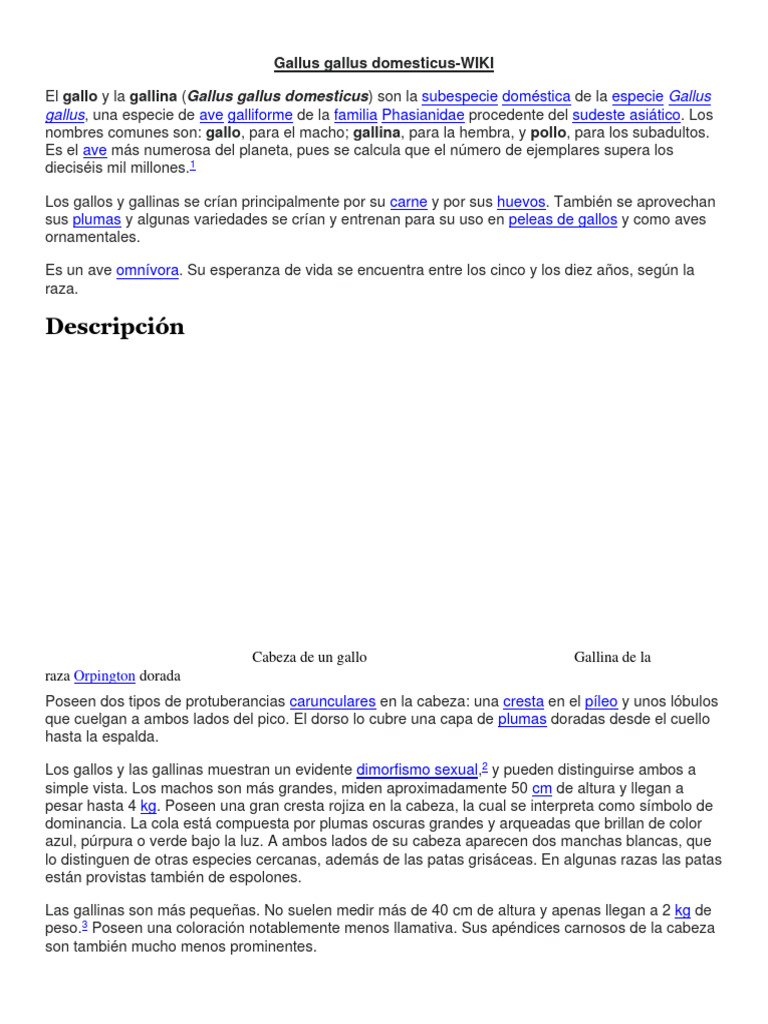 Gallus Gallus domesticus-WIKI | PDF | Pollo | Zoología