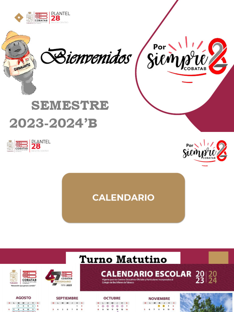 P28 Mat Vi Sem 2024 | PDF | Science