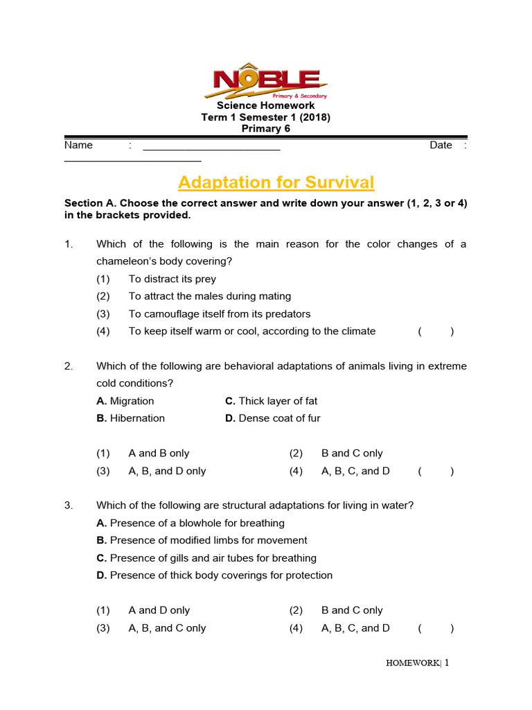 Primary 6 Science Worksheet - Adaptations HW | PDF | Mud | Predation
