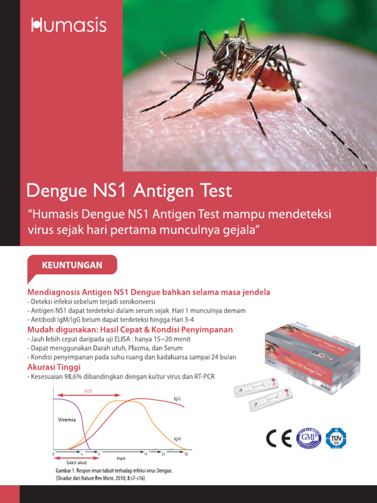 Dengue NS1 Antigen Test | PDF