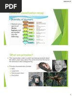Human Evolution Chart | PDF | Homo | Human Evolution