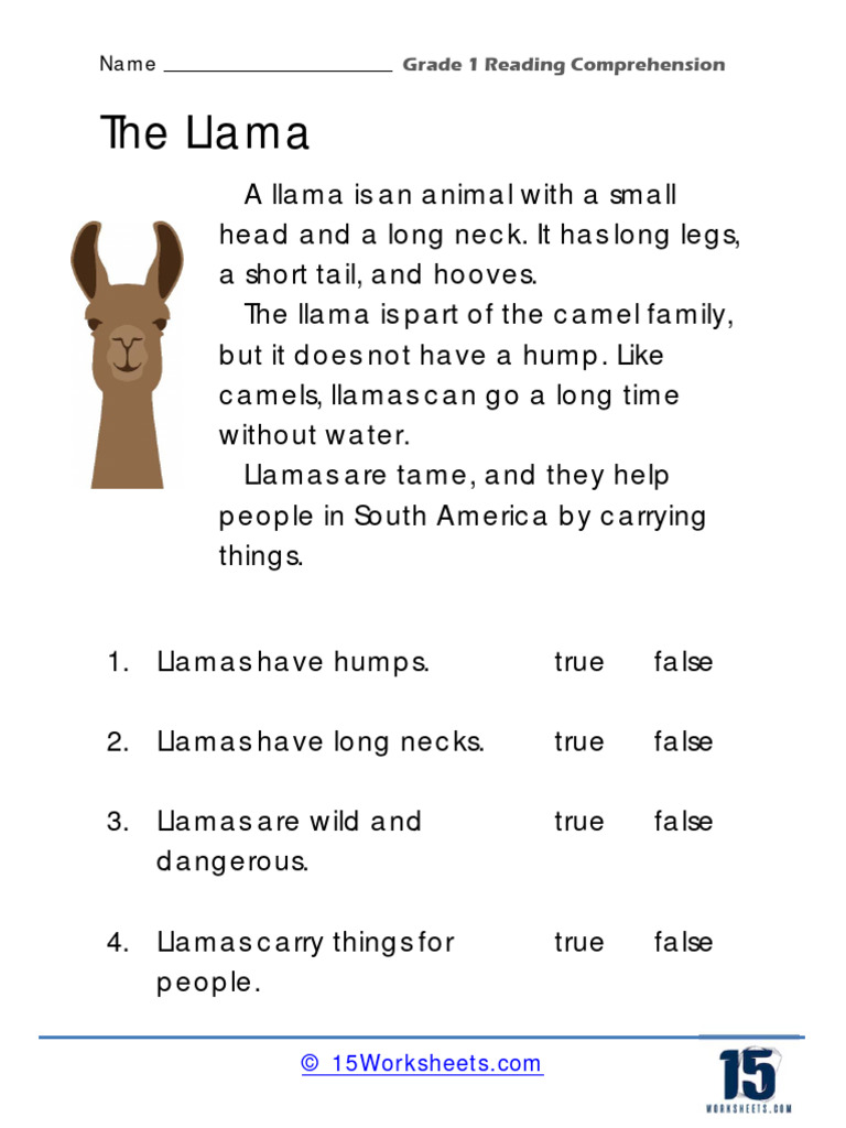 Grade 1 Llama Reading Comprehension | PDF