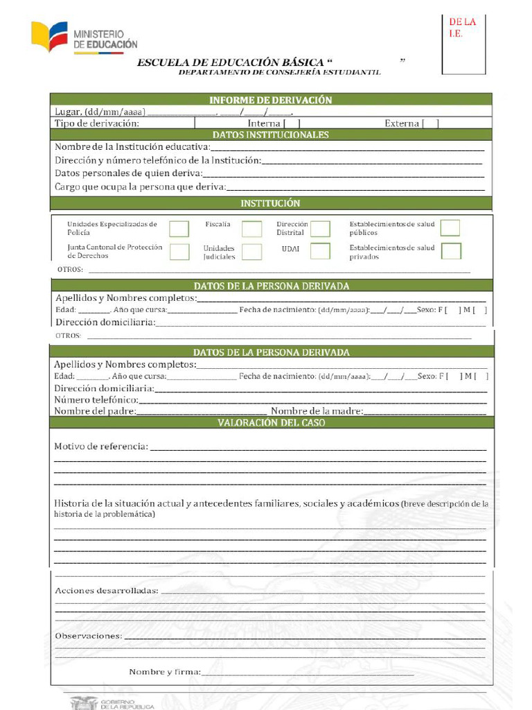 Informe Del Dece | PDF