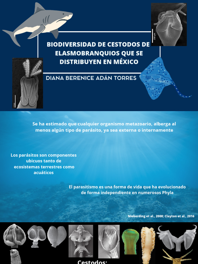 08 Adán Torres | PDF | Biología