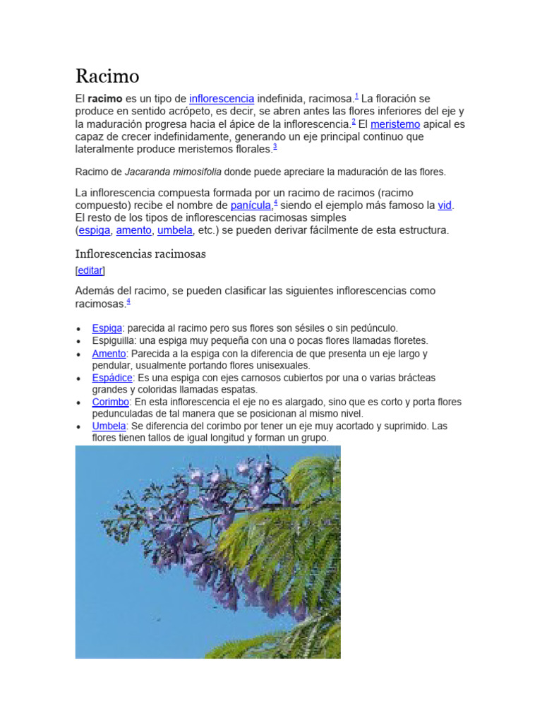 Definición de Racimo en Botánica | PDF