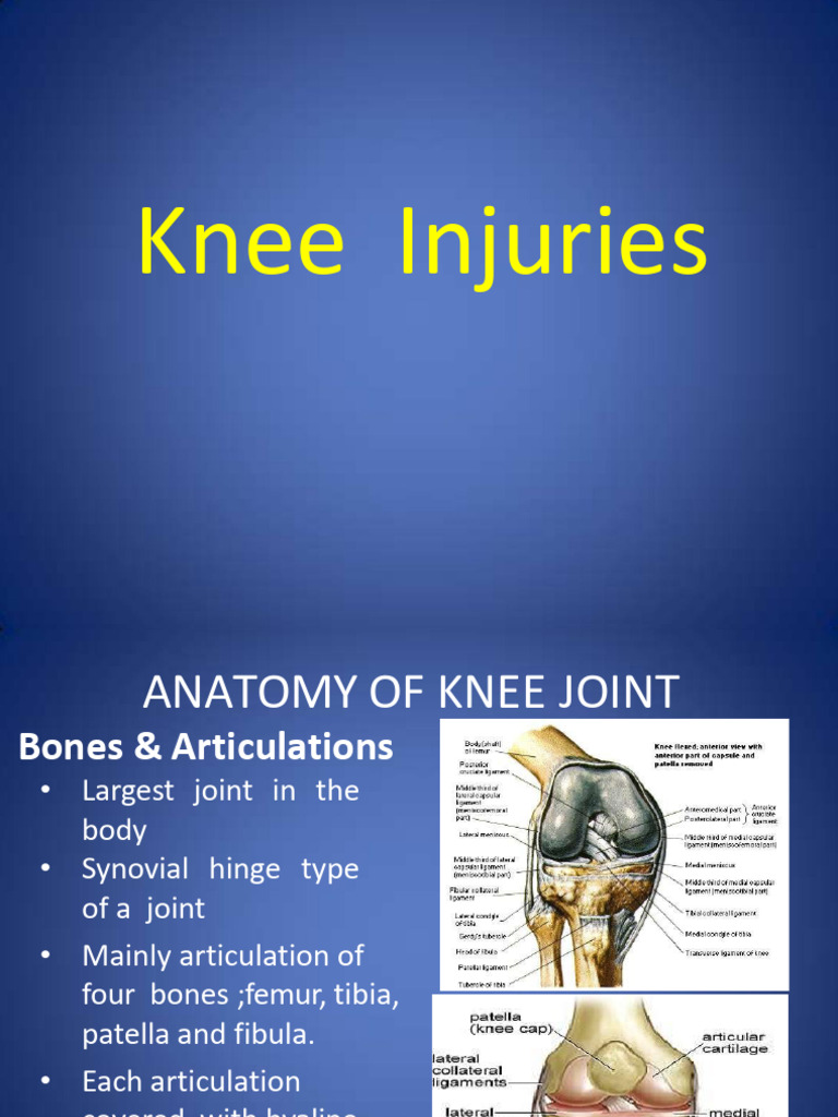 KNEE INJURY SLIDES-21 June DR Sudhanshu Das Sir Class | PDF | Knee ...