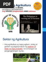 TEMPLATE-No.1 HistoPop | PDF | Question | Learning