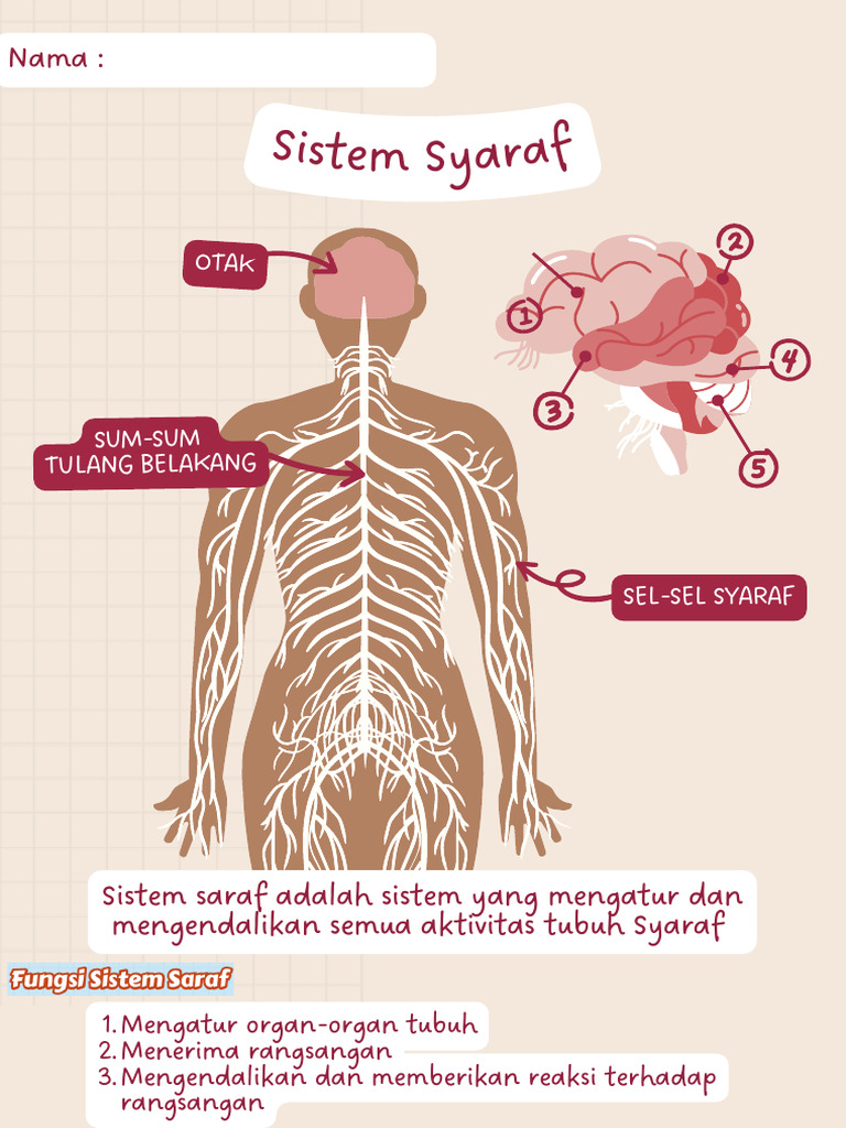 LKPD Materi Sistem Syaraf Manusia | PDF